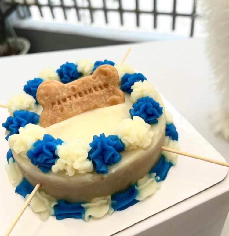 Celebrate BARkday and MEOWday through Pawty Cakes - Where In Pampanga