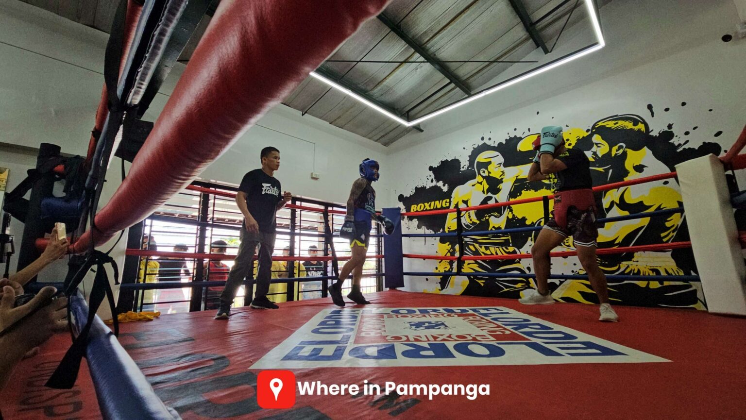 Sweat, Strength, and Success: The Ultimate Fitness Experience Awaits at ...